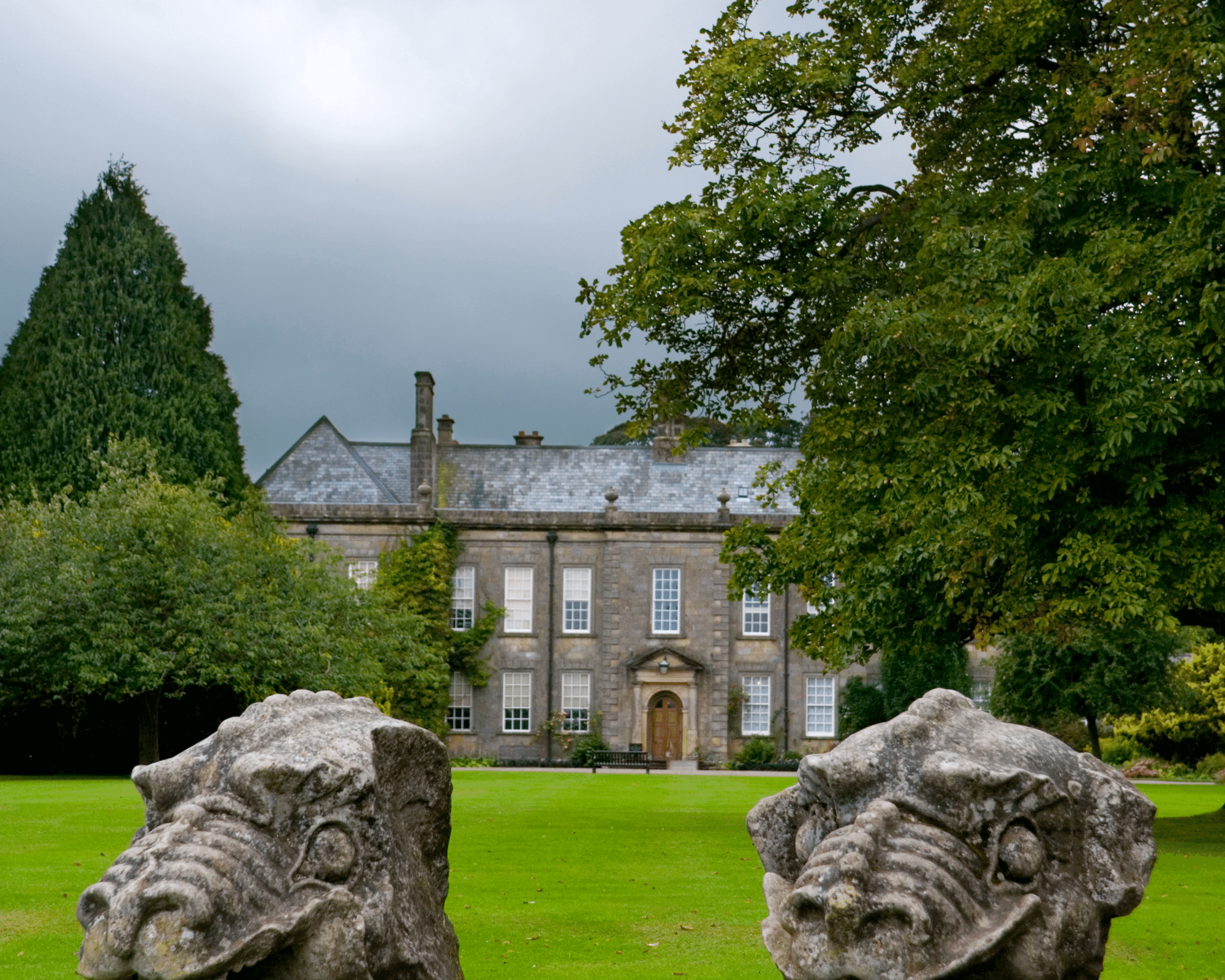 Top 10 Dog Walks in Northumberland