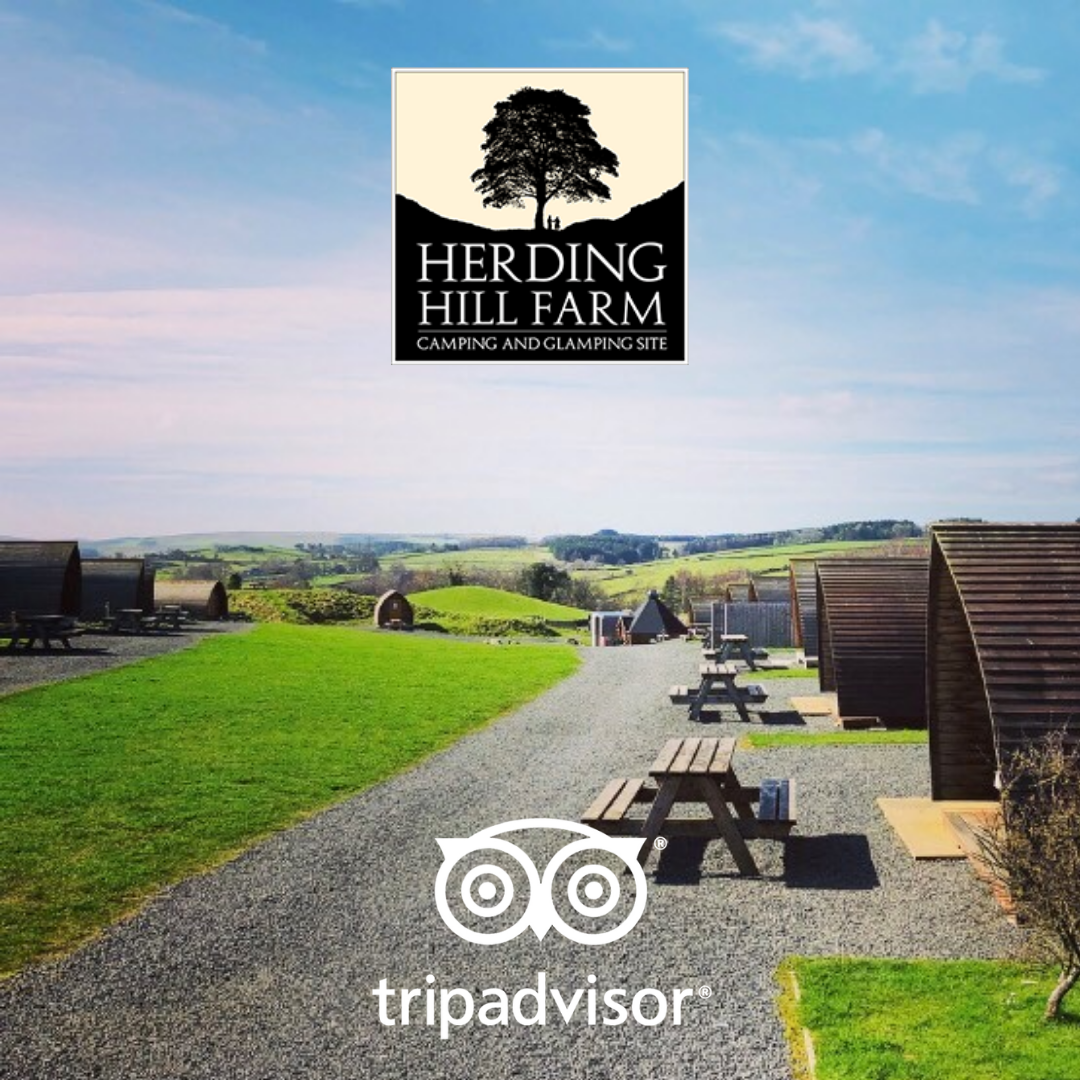Enter Our Competition | Herding Hill Farm