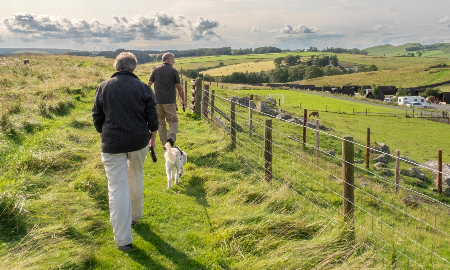 Hadrian's Wall Northumberland Campsite - Herding Hill Farm