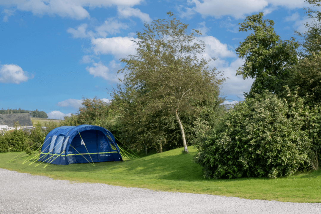 Camping in Northumberland | 5 Star Campsite