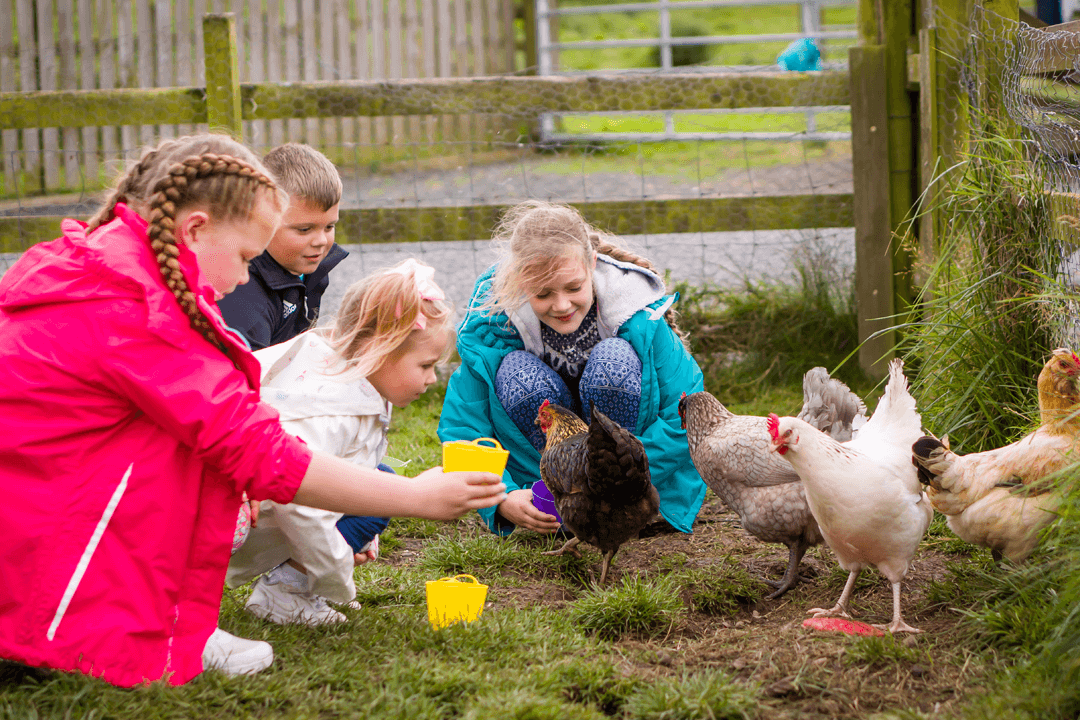 Family Friendly Campsite With A Petting Farm | Herding Hill Farm